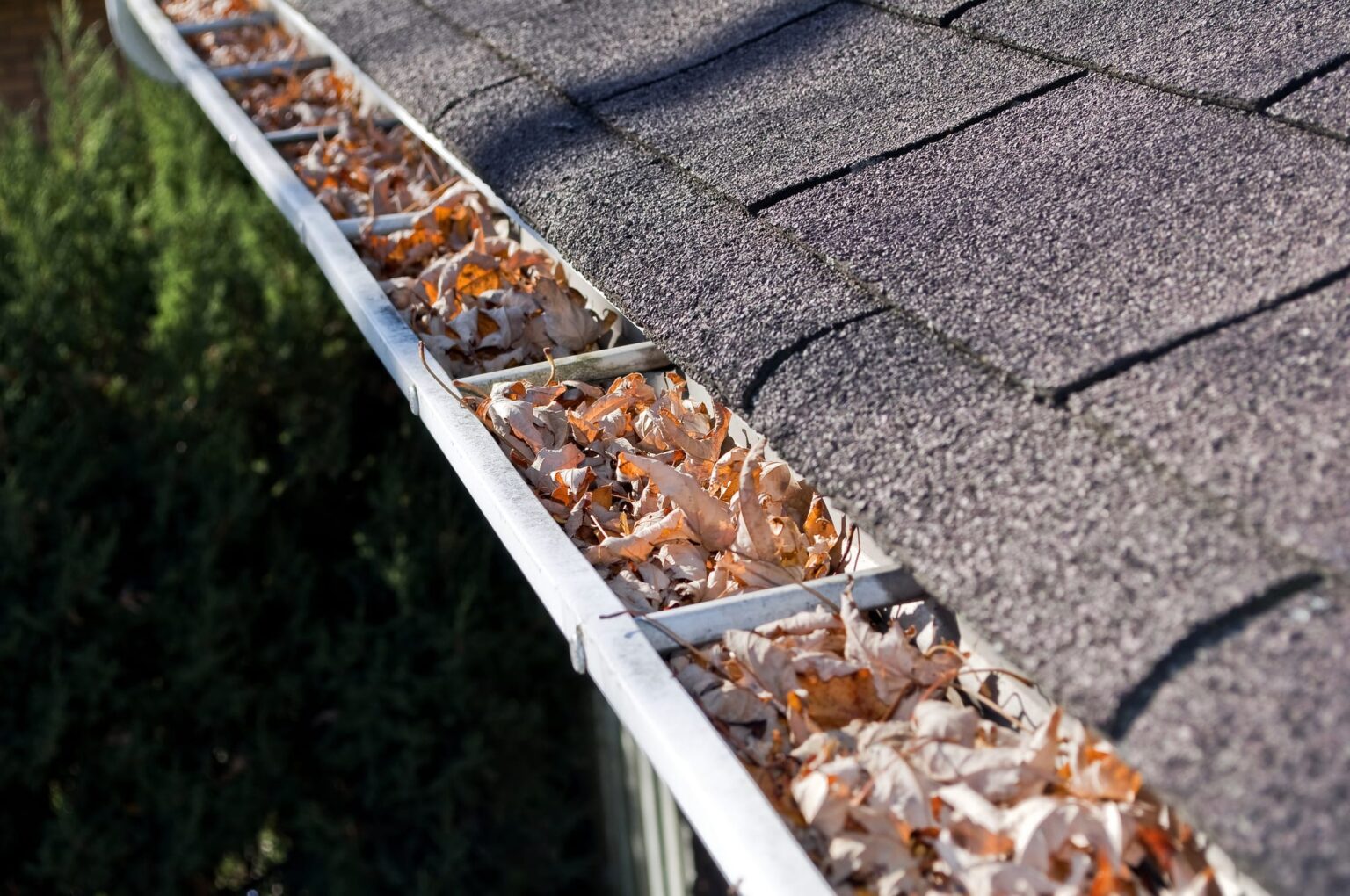 What Clogged Gutters Reveal About Home Health in Minneapolis - Aviyne