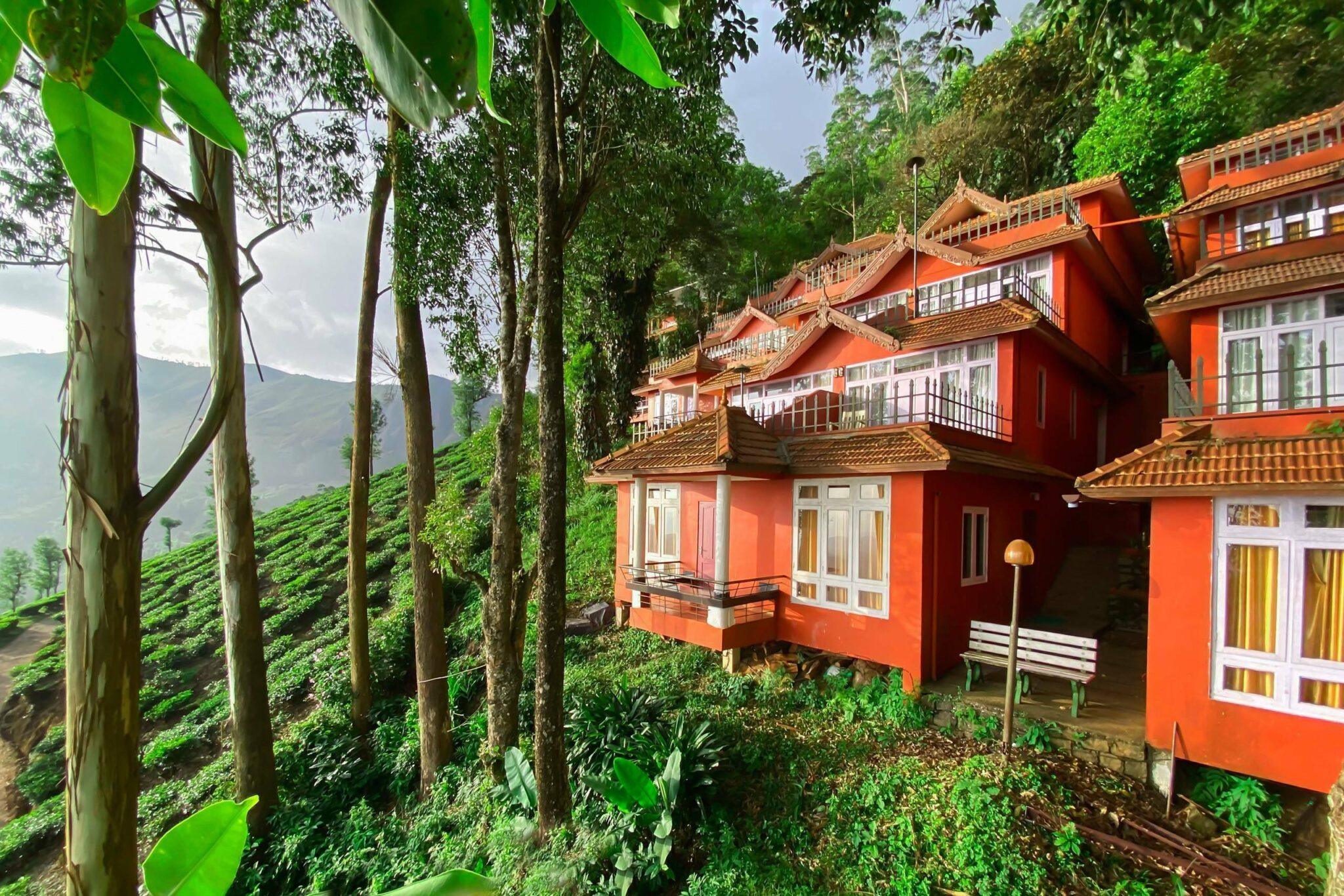 Peaceful Stays in Munnar Set Amid Tea Gardens and Rolling Hills - Aviyne